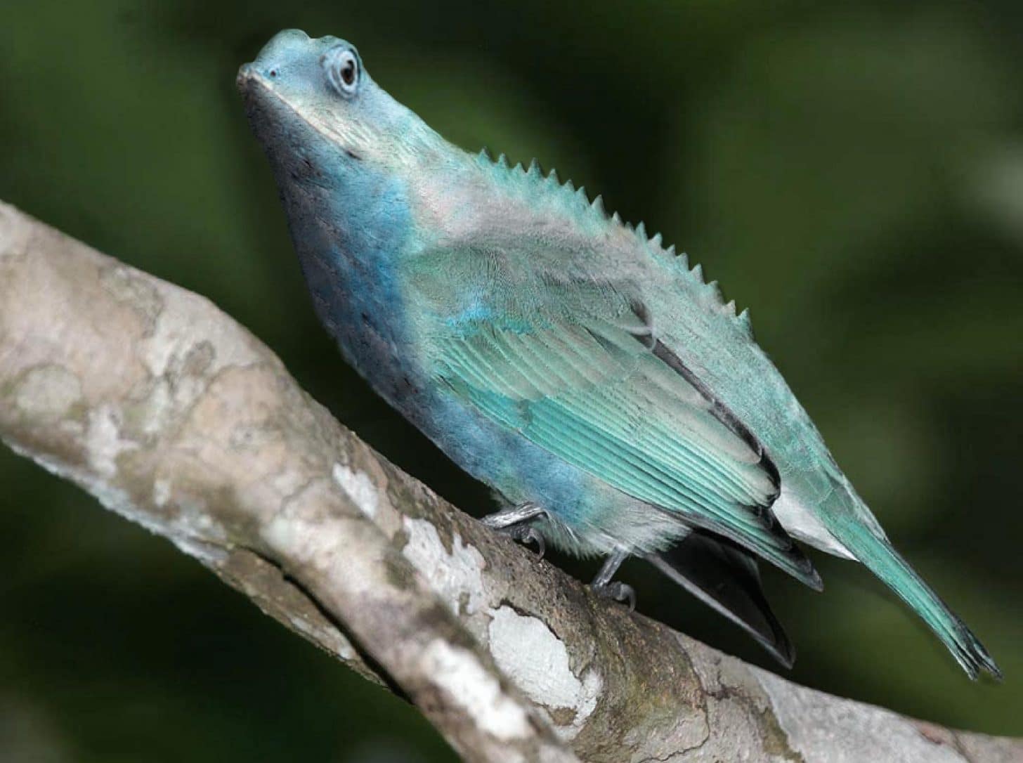 18 Fantastical Hybrid Animals You Wish Were Real - Page 3 of 18 ...